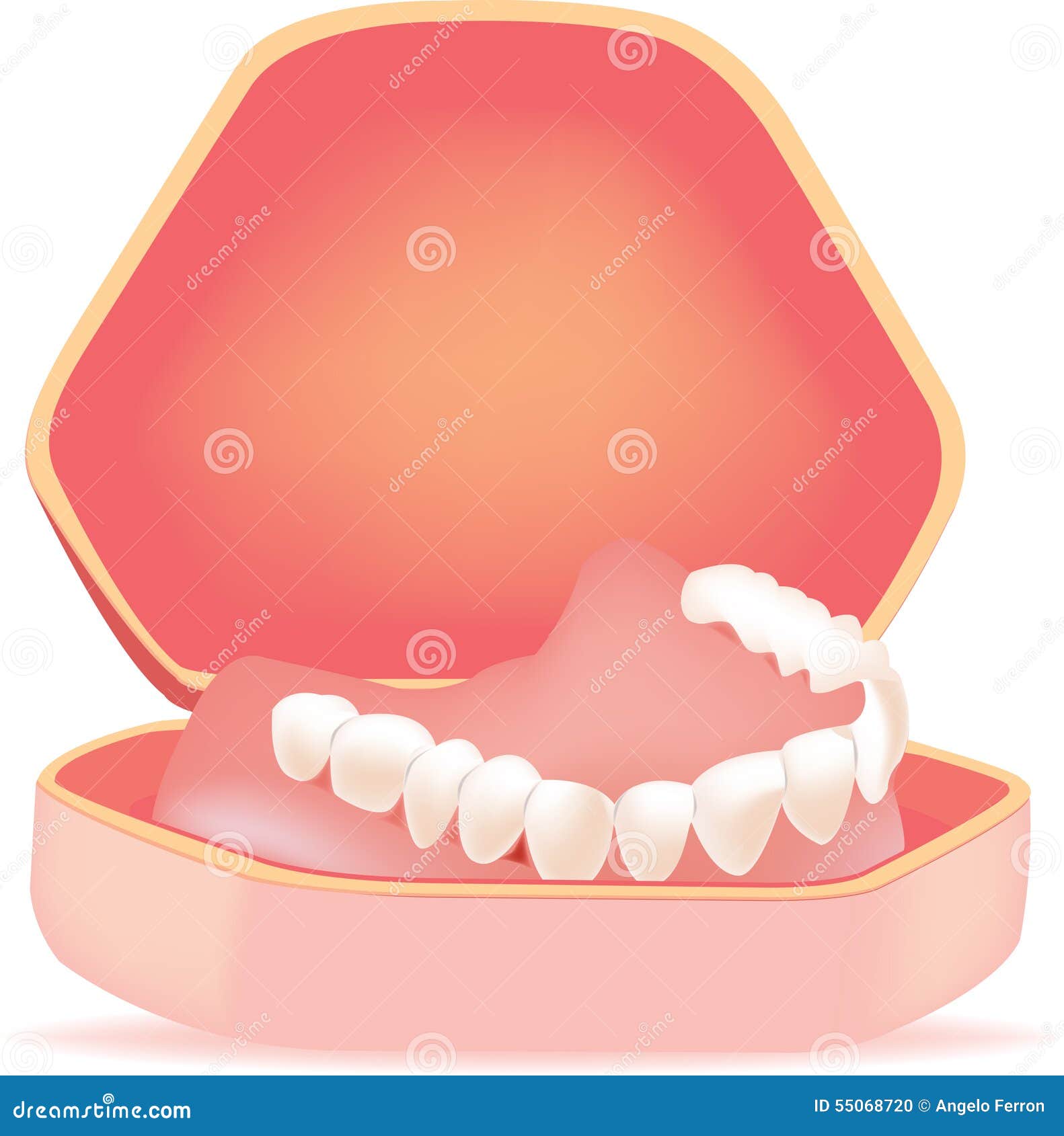 Denture Housing Vector Illustration | CartoonDealer.com #55068720