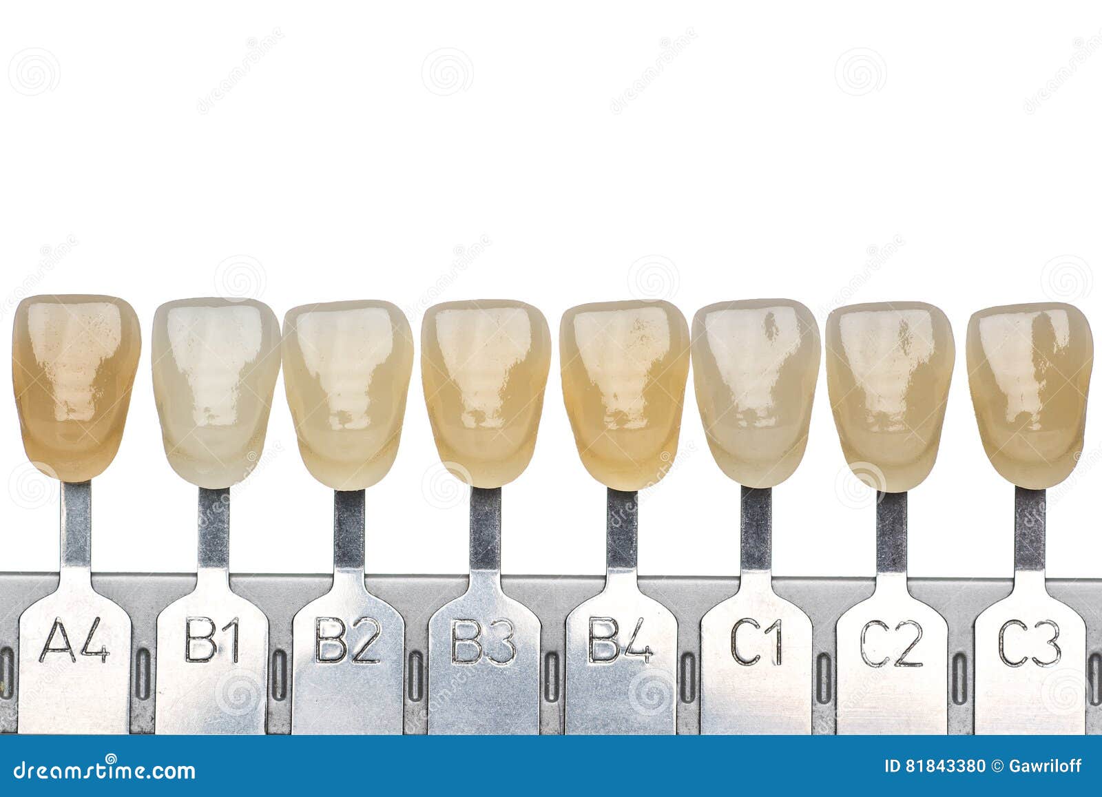 Teeth Color Chart. Stock Photography | CartoonDealer.com #88861034