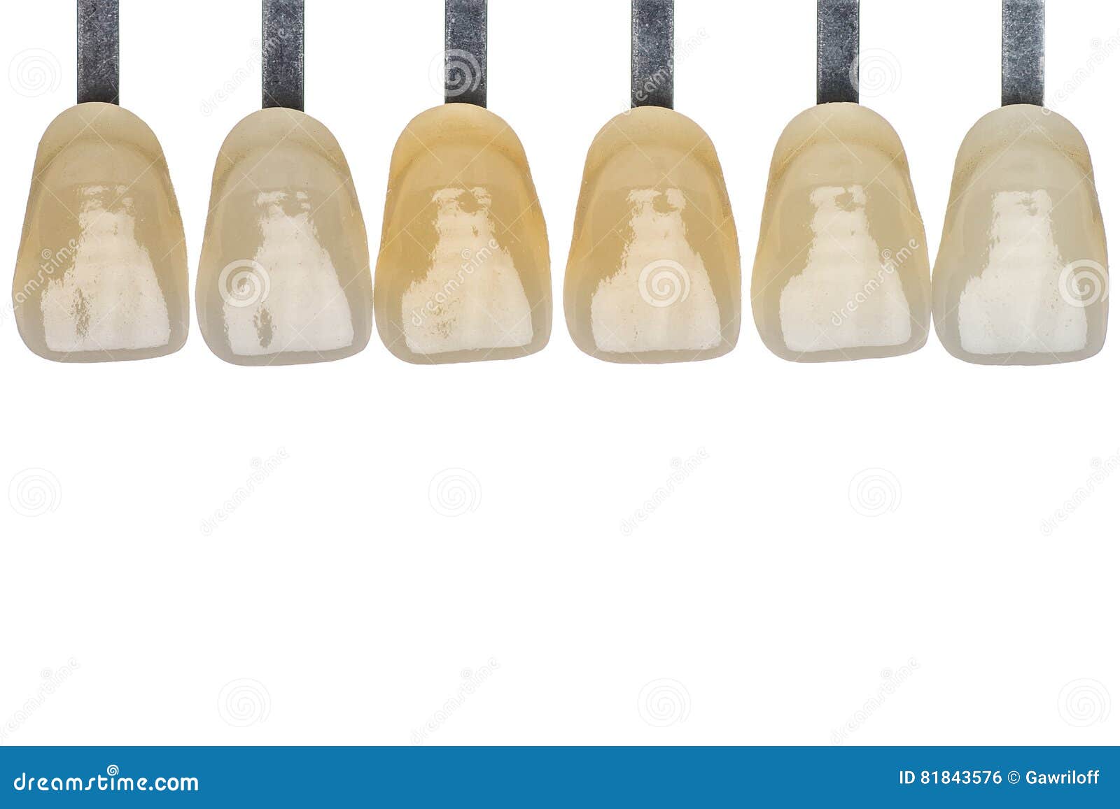 Denture and Implant Production: False Teeth Color Samples Stock Photo ...