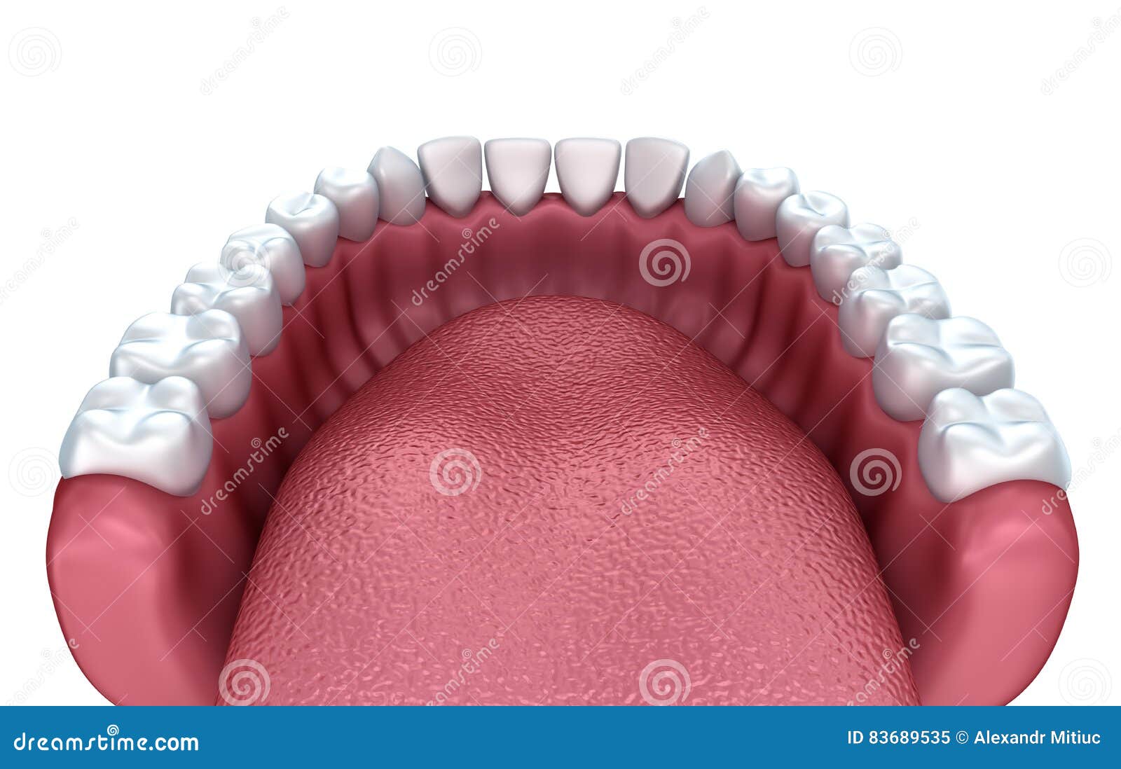 Denture Isolated On White Royalty-Free Cartoon | CartoonDealer.com ...