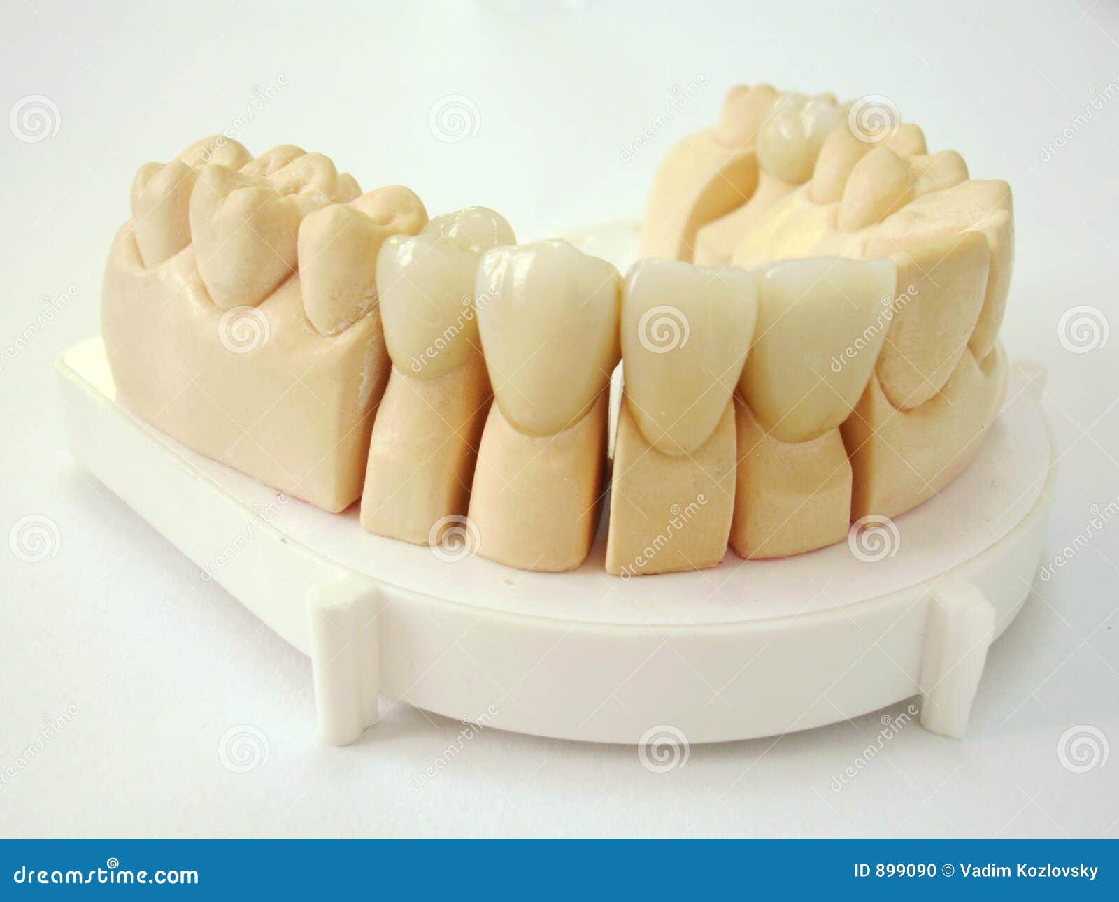 Denture limb stock photo. Image of medicine, dental, denture - 899090