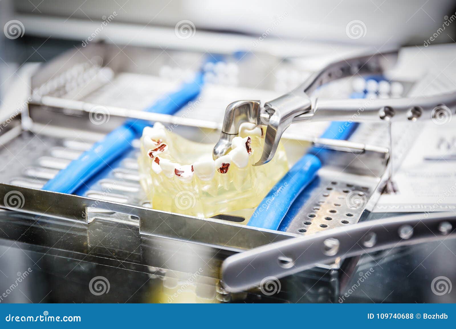 The denture sample stock photo. Image of dentist, care - 109740688