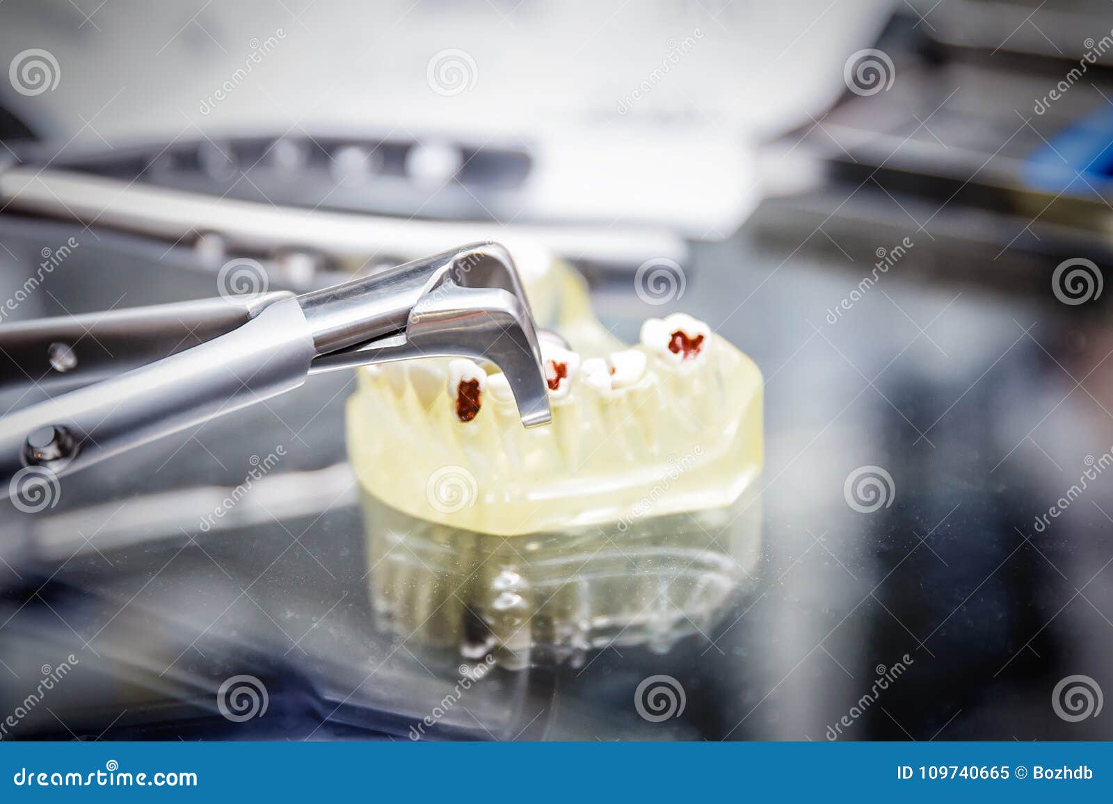 The denture sample stock image. Image of healthy, health - 109740665