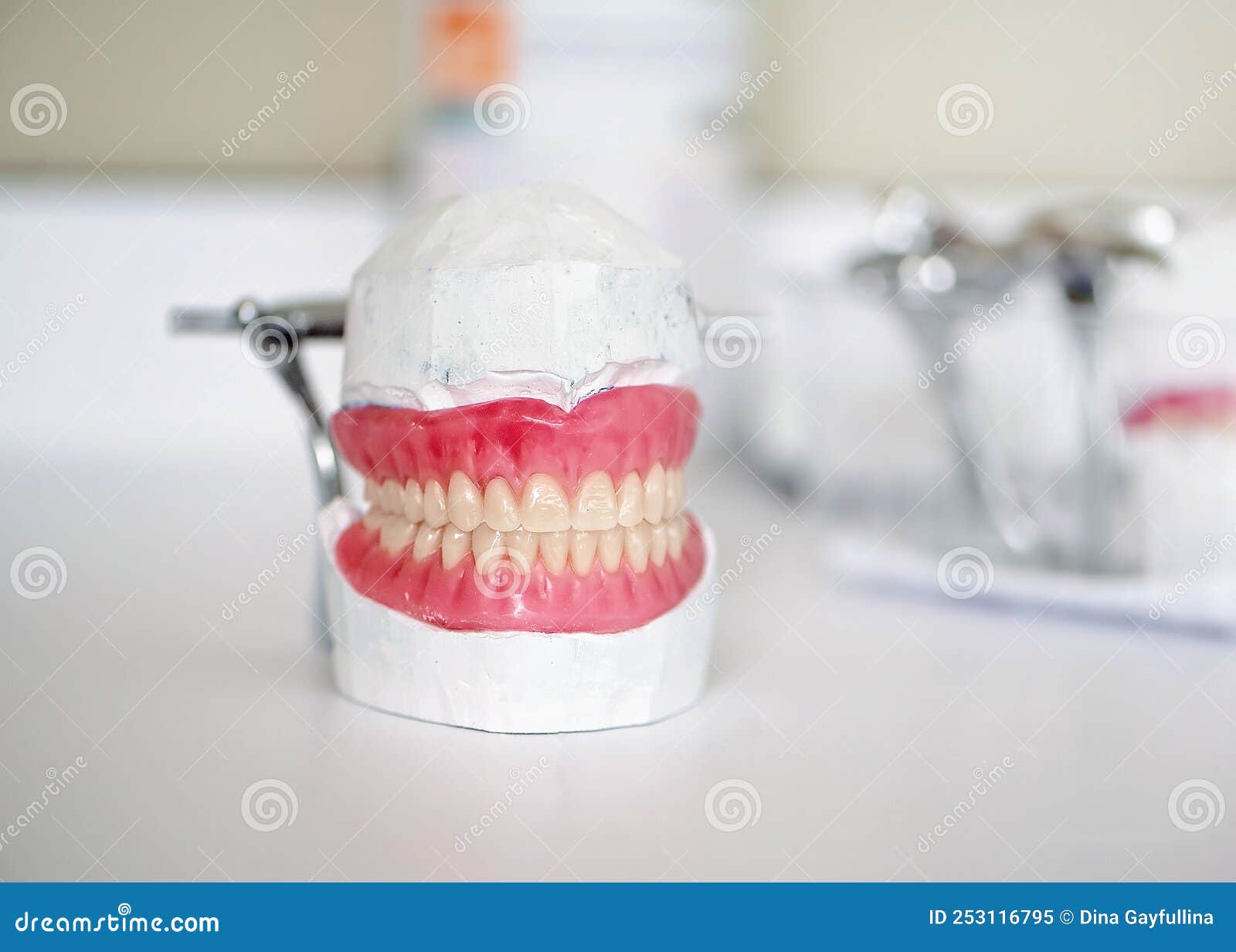 Denture Stands on a White Table Stock Image - Image of clean, close ...