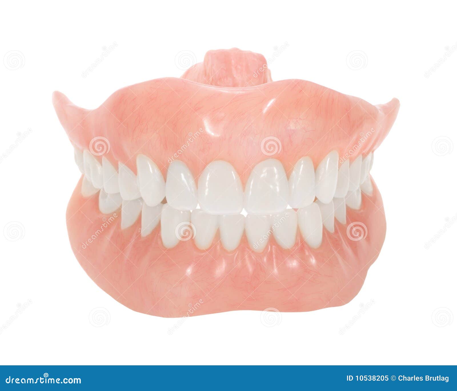 Dentures stock image. Image of dentures, closeup, object - 10538205