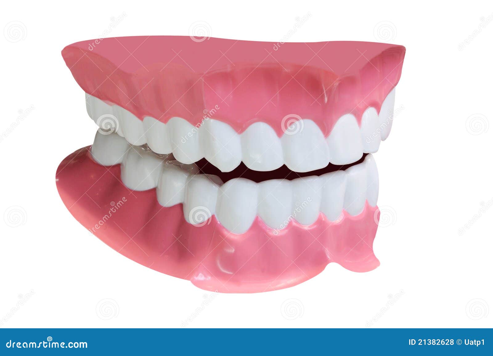 Dentures stock photo. Image of dental, prosthetic, mouth - 21382628