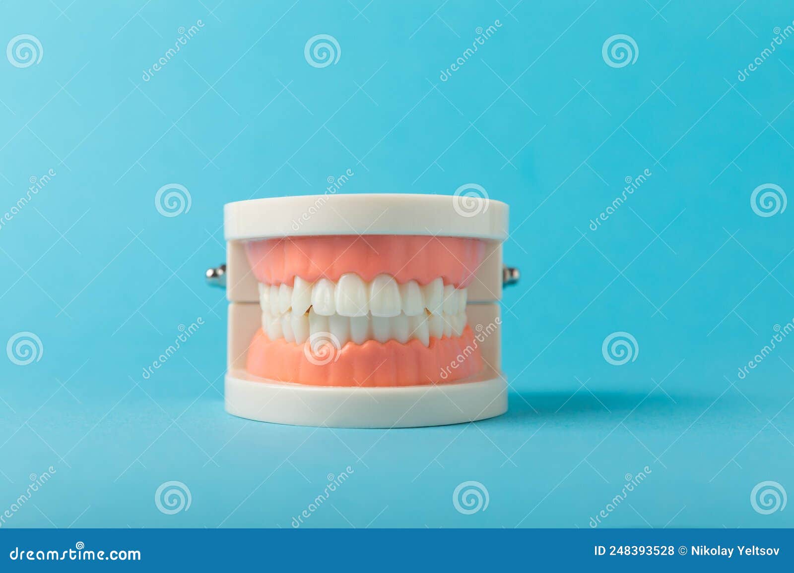 Dentures on a Blue Background.Upper and Lower Jaws with False Teeth ...
