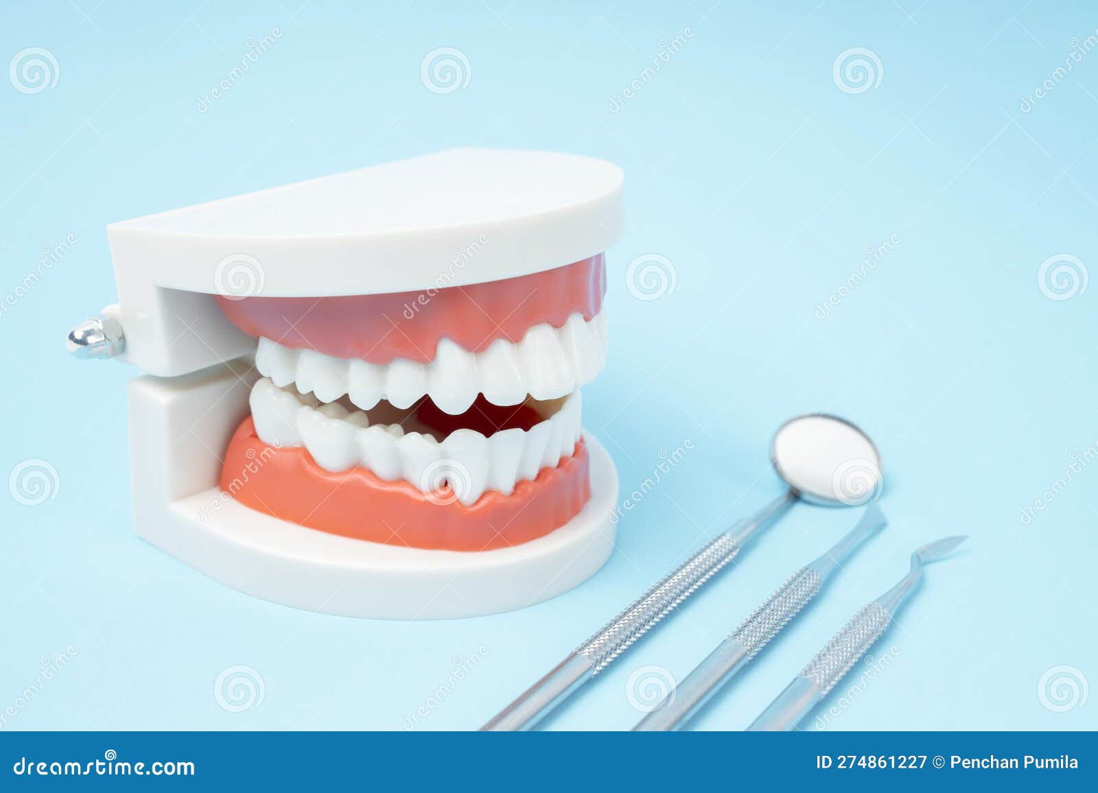 The Dentures Model and Instrument Dental on Blue Background Stock Image ...