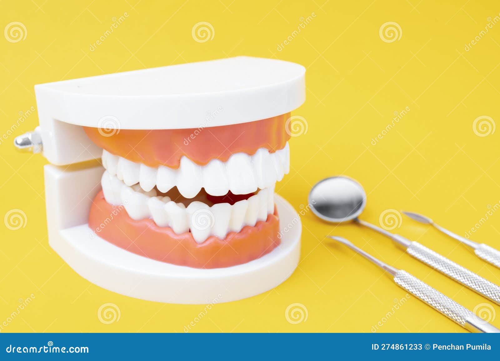 The Dentures Model and Instrument Dental on Yellow Background Stock ...