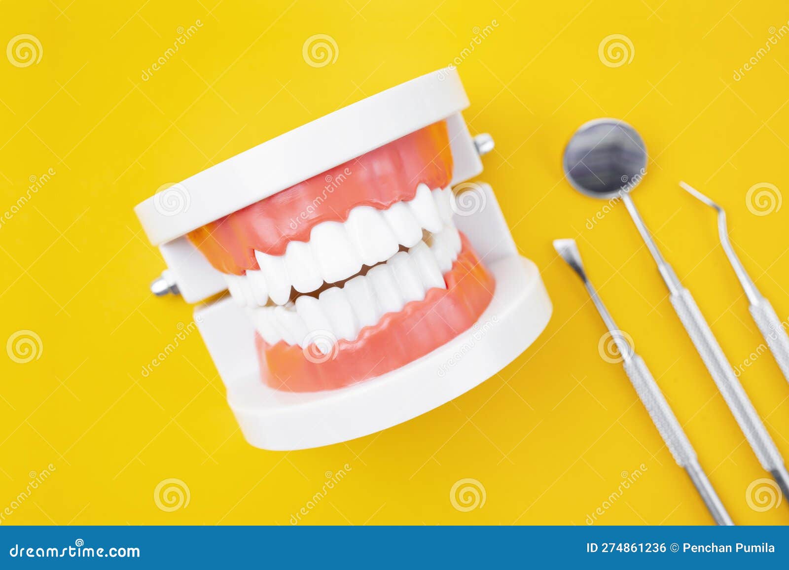 The Dentures Model and Instrument Dental on Yellow Background Stock ...