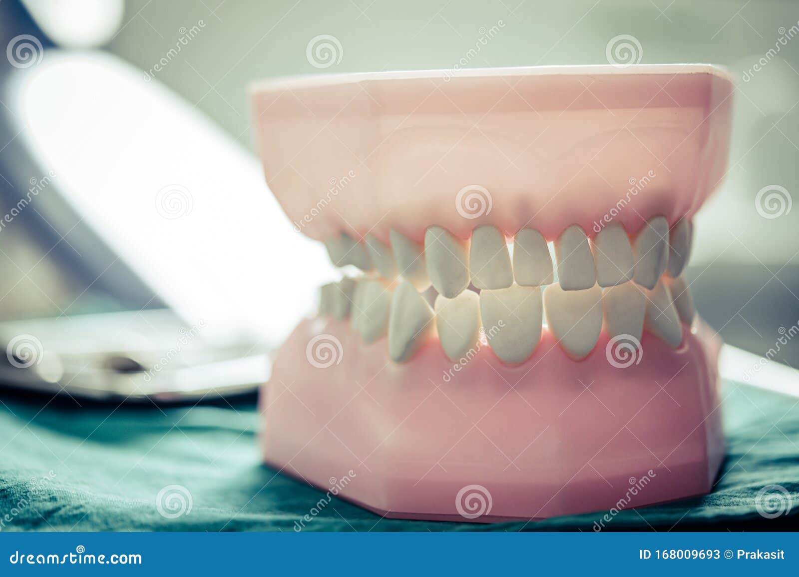 Dentures Placed on a Table in the Laboratory Stock Image - Image of ...