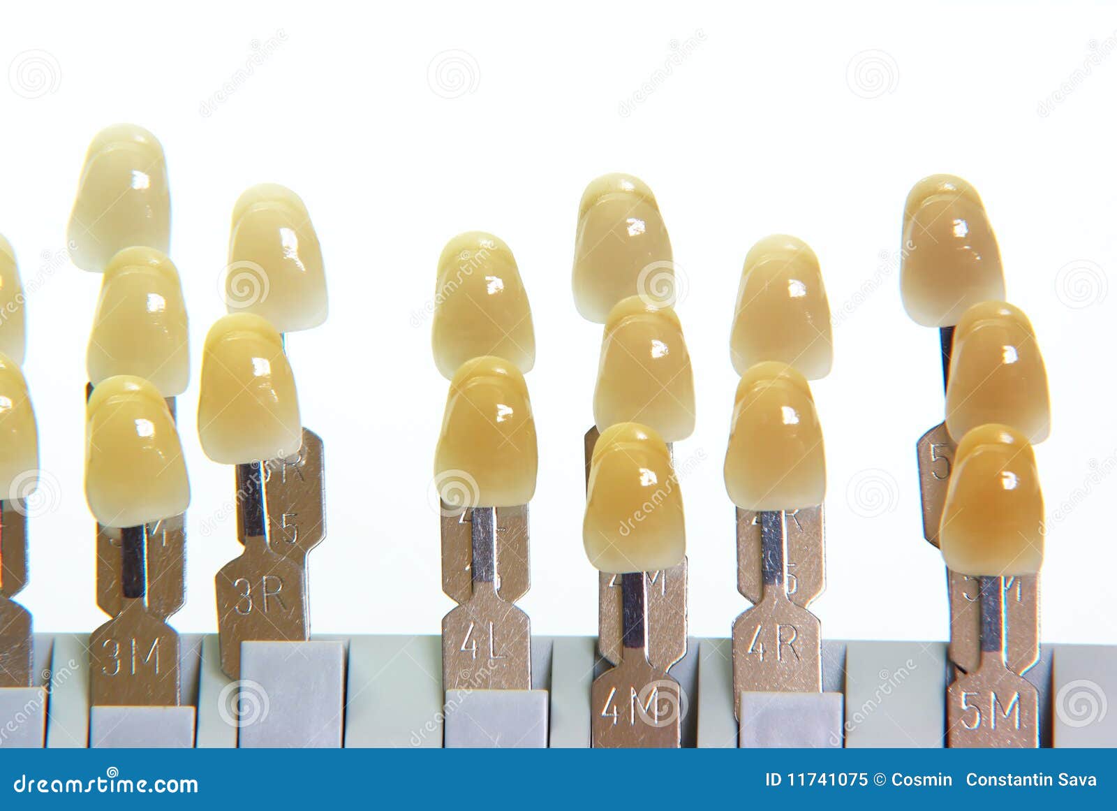 Dentures Porcelain - Color Guide Stock Image - Image of ability, areas ...