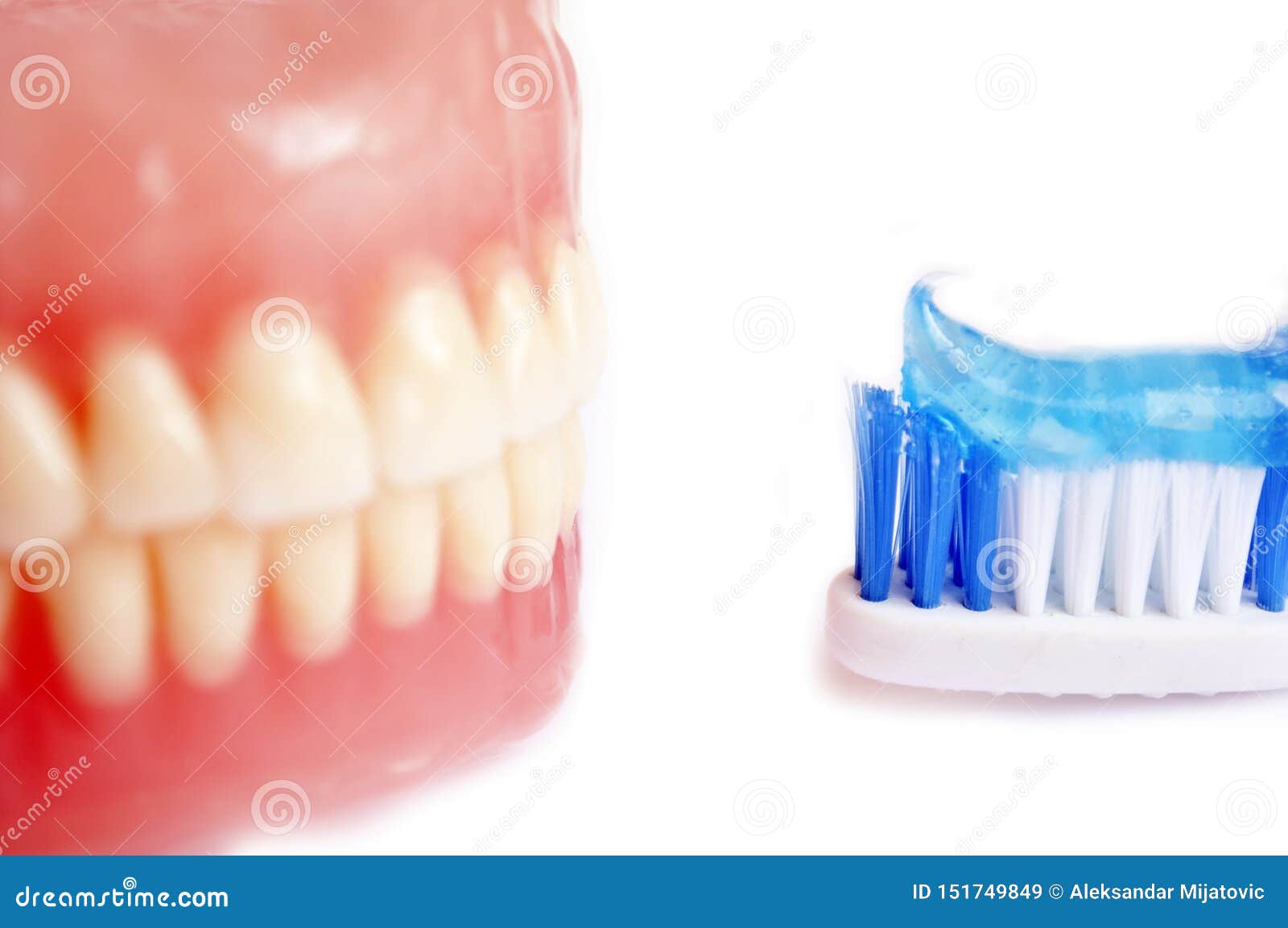 Dentures and Toothbrush with Toothpaste Isolated on White Stock Image ...