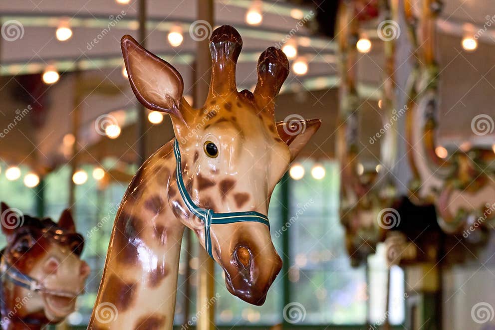 Dentzel Carousel Giraffe stock photo. Image of animals - 25605350