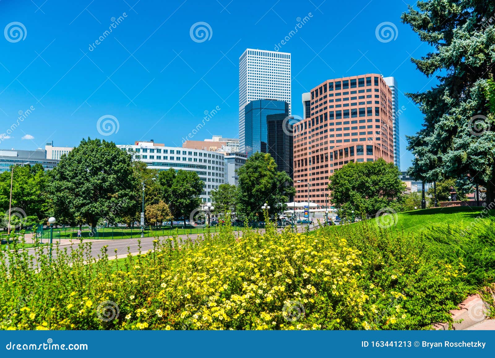 Yellow Wild Flowers Bloom in Summer in Downtown Denver Colorado Stock ...