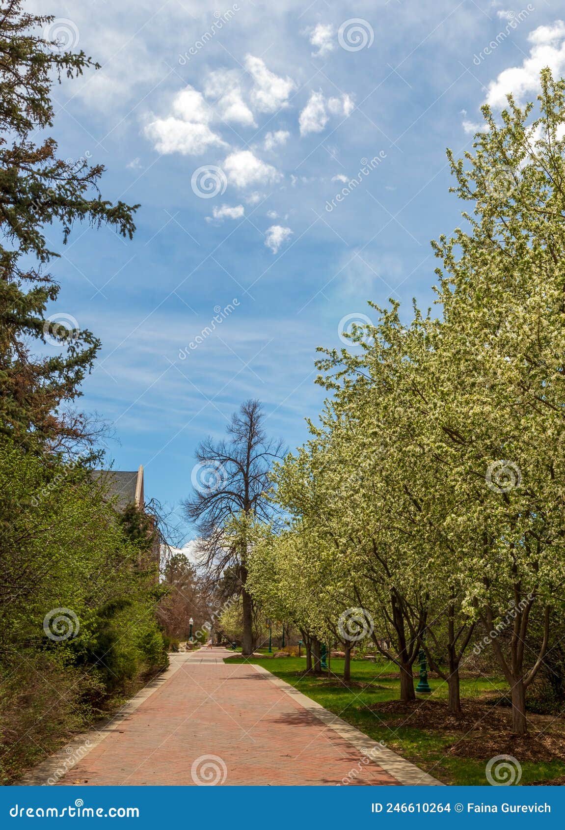 Regis University in Denver, Colorado Editorial Stock Image - Image of ...