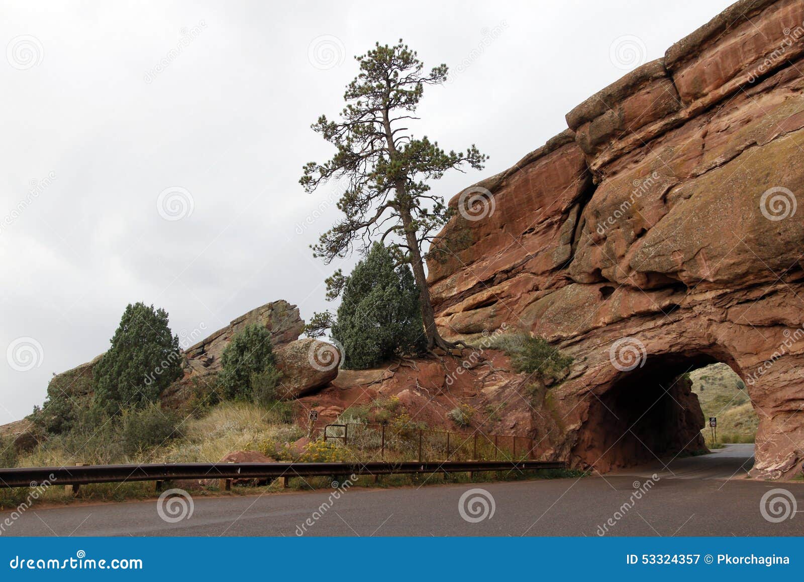 Denver mountains stock image. Image of tree, mountains - 53324357