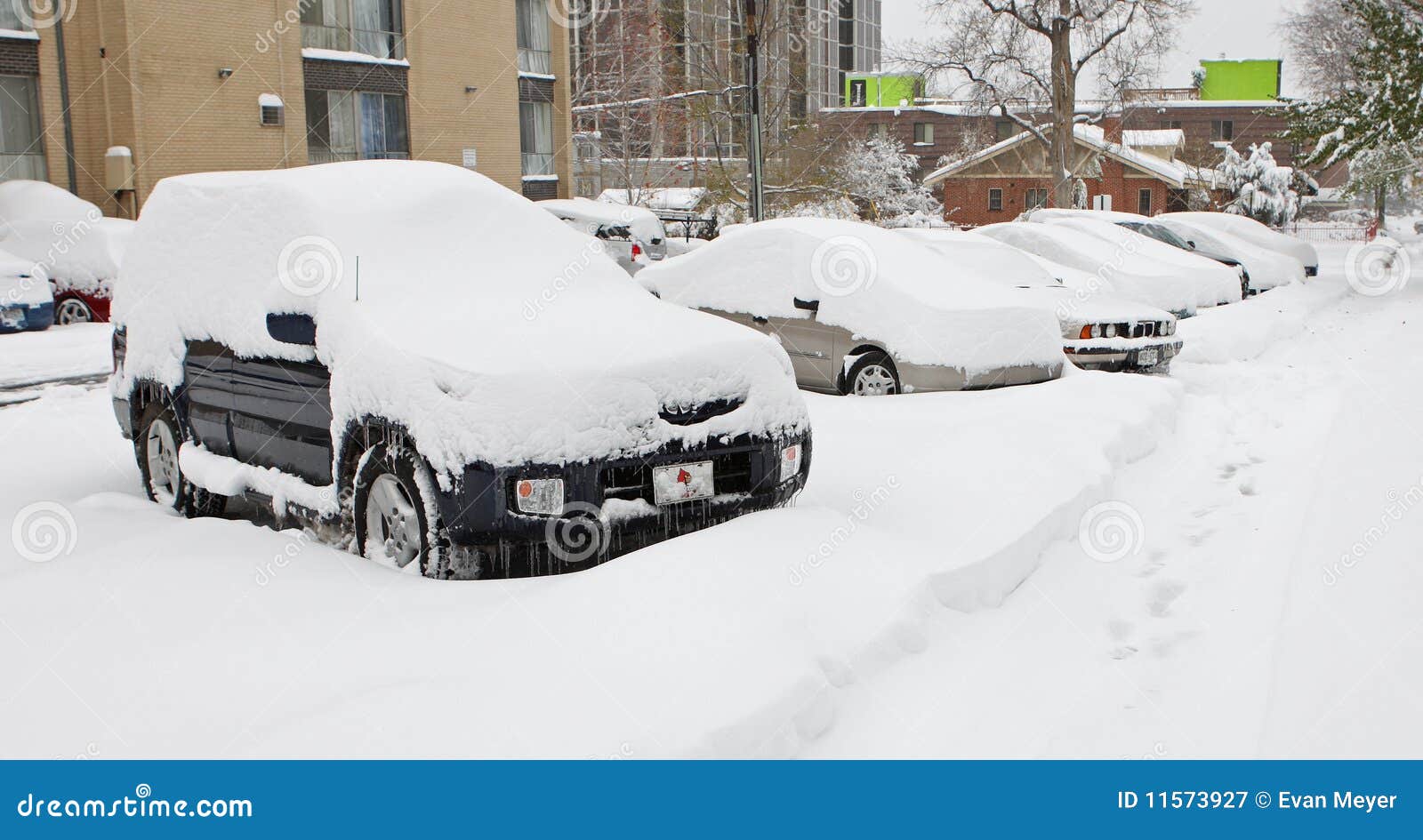 Denver Snowstorm, October 29, 2009 Editorial Photography - Image of ...