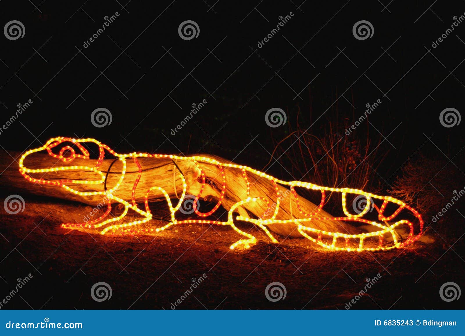 Denver Zoo Lights - Lizard editorial stock photo. Image of holiday ...