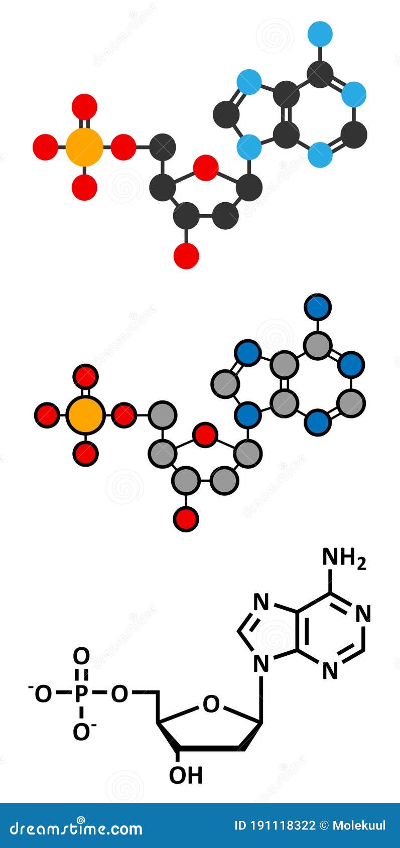 Deoxyadenosine Monophosphate DAMP Nucleotide Molecule. DNA Building ...
