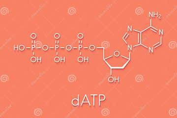 Deoxyadenosine Triphosphate DATP Nucleotide Molecule. DNA Building ...