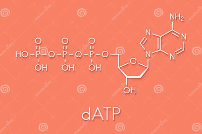 Deoxyadenosine Triphosphate DATP Nucleotide Molecule. DNA Building ...
