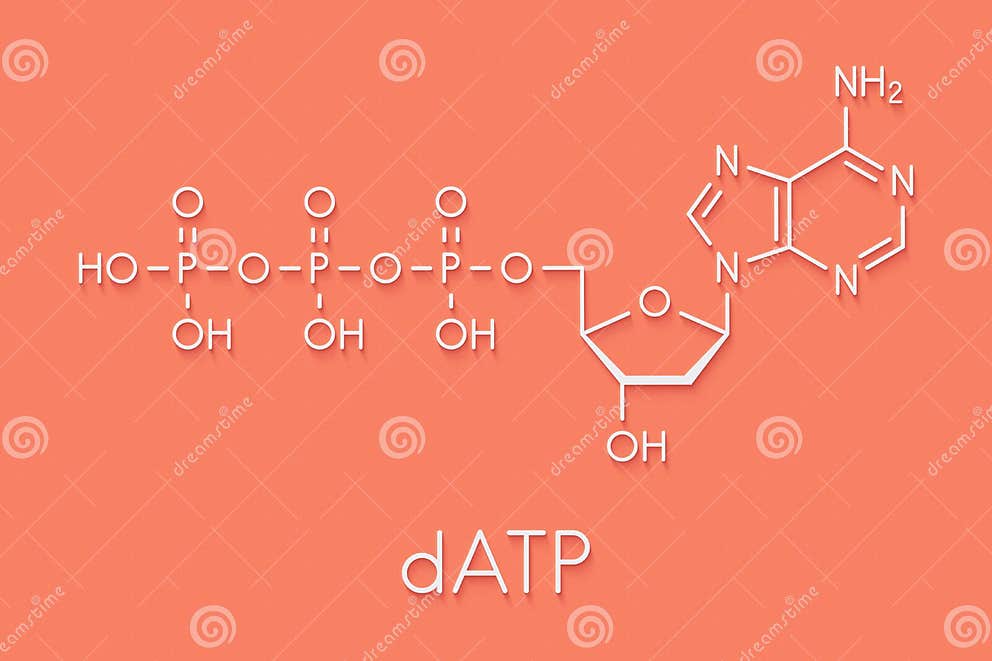Deoxyadenosine Triphosphate DATP Nucleotide Molecule. DNA Building ...