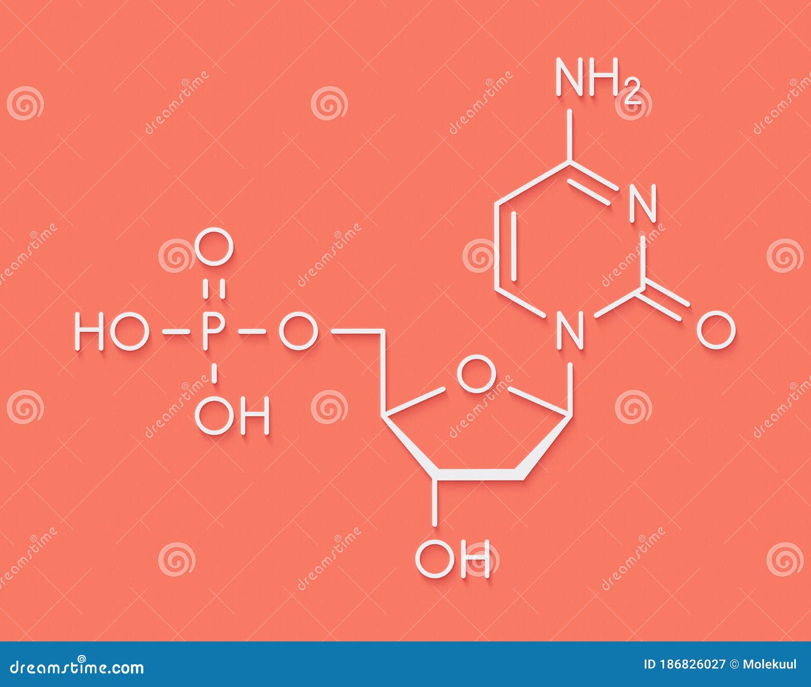 Nucleotide Molecule Dna