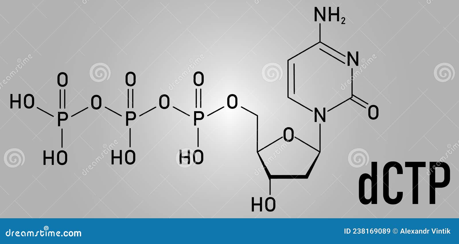 Deoxycytidine Triphosphate Or DCTP Nucleotide Molecule. DNA Building ...