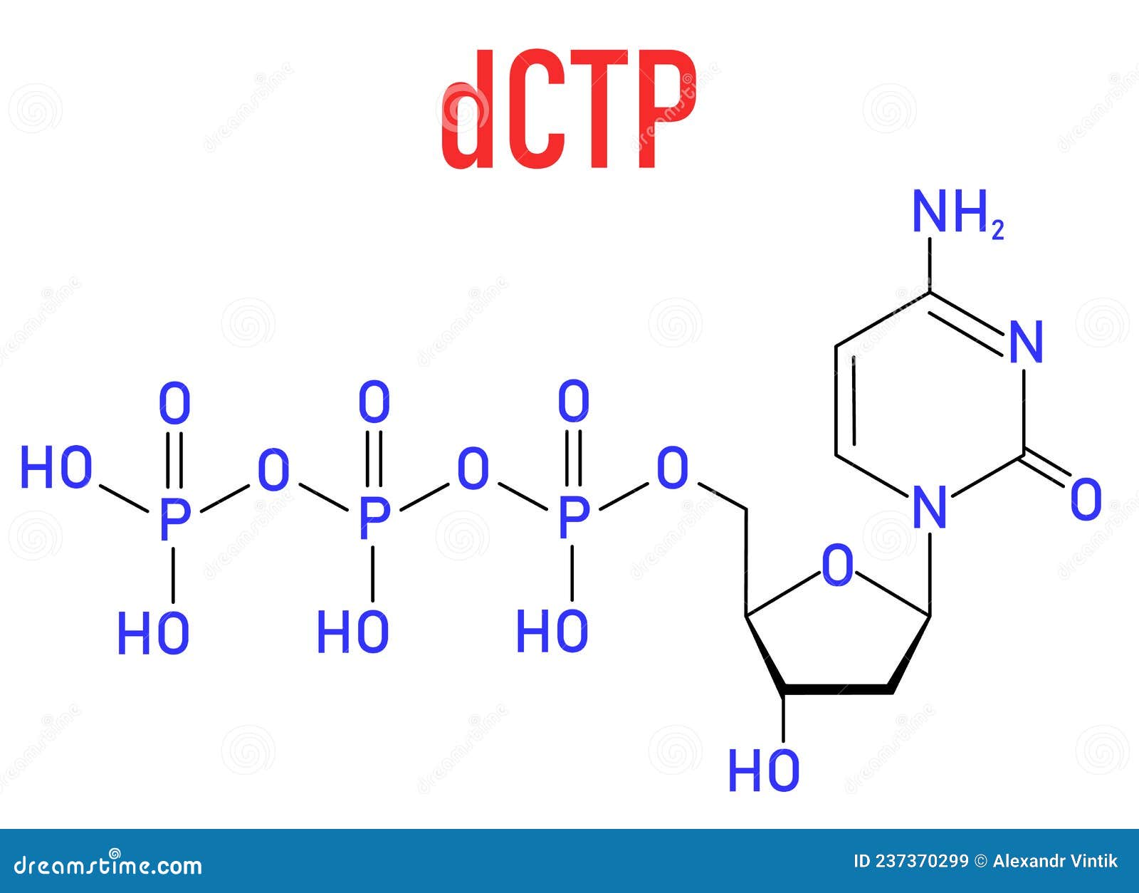Deoxycytidine Triphosphate (dCTP) Nucleotide Molecule. DNA Building ...