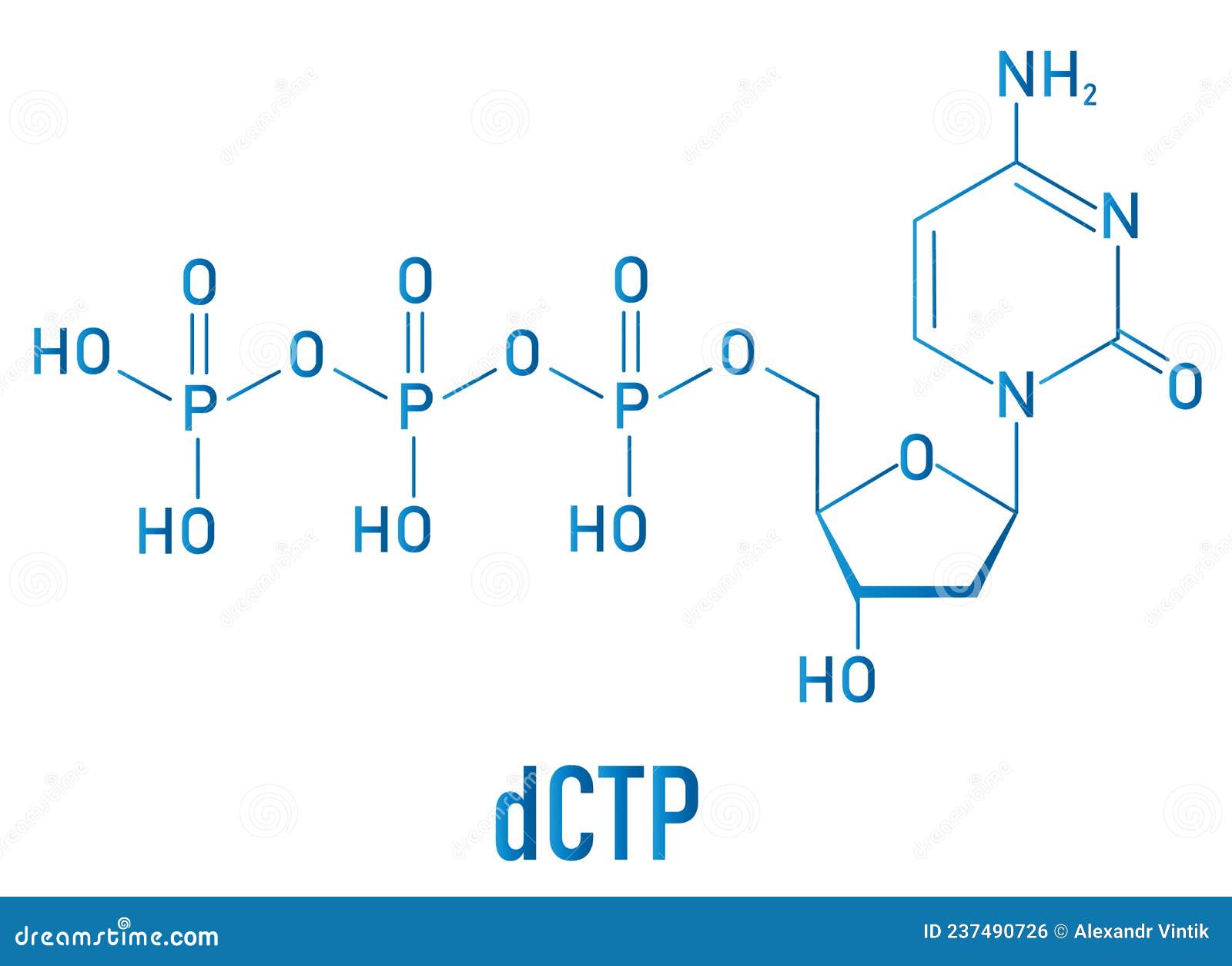Deoxycytidine Triphosphate Or DCTP Nucleotide Molecule. DNA Building ...