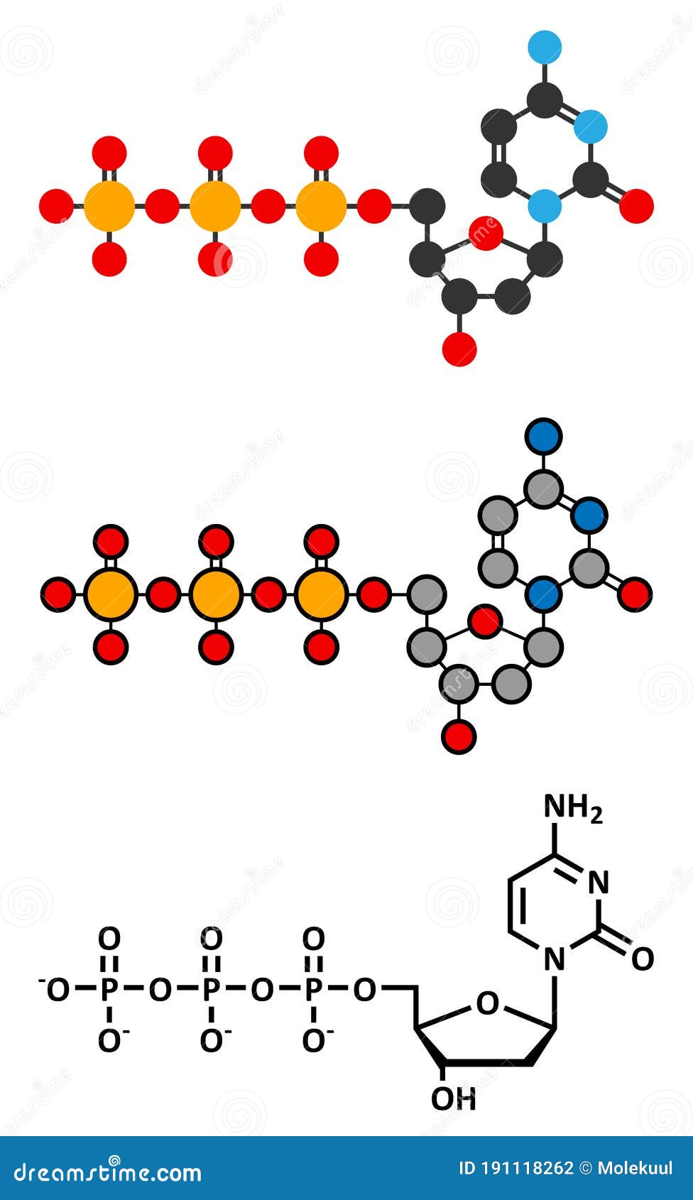 Deoxycytidine Triphosphate (dCTP) Nucleotide Molecule. DNA Building ...