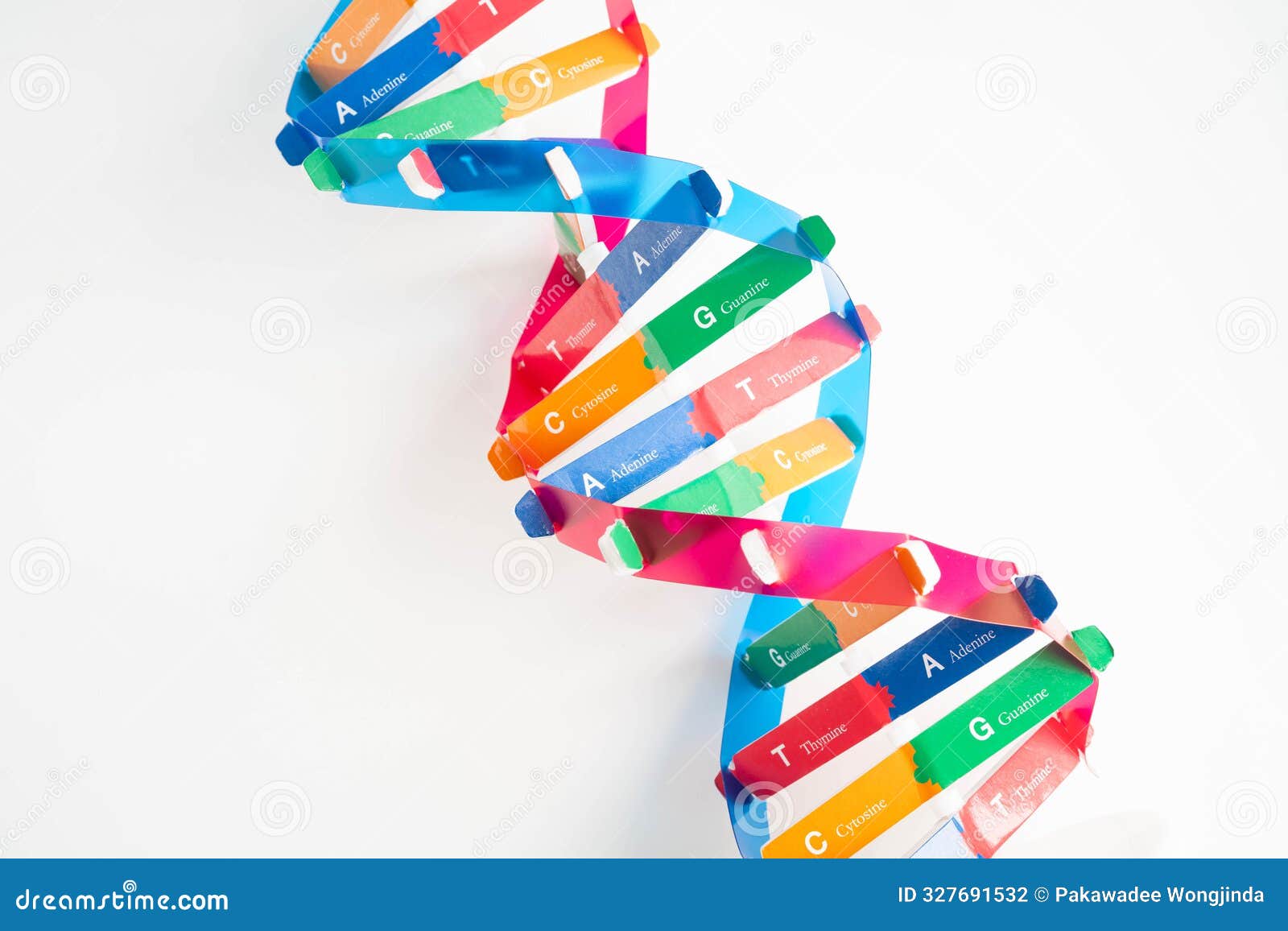 Deoxyribonucleic Acid or DNA, Double Helix Chains Structure Formed by ...