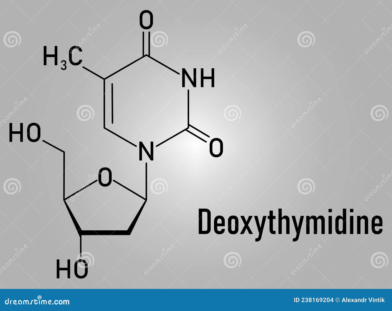Deoxythymidine or Thymidine Nucleoside Molecule. DNA Building Block ...