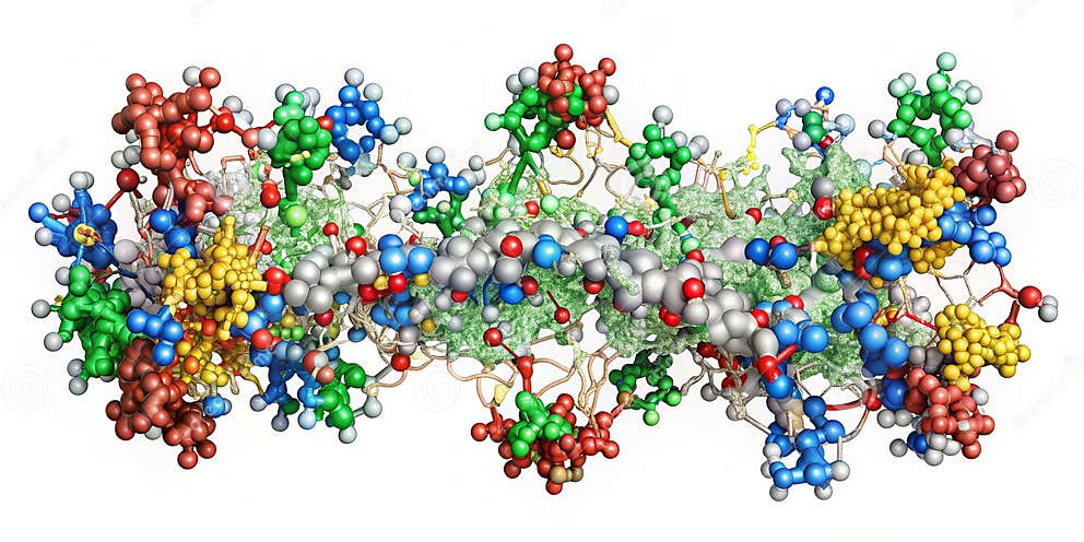 Depiction of a Multienzyme Complex Illustrating the Coordinated ...