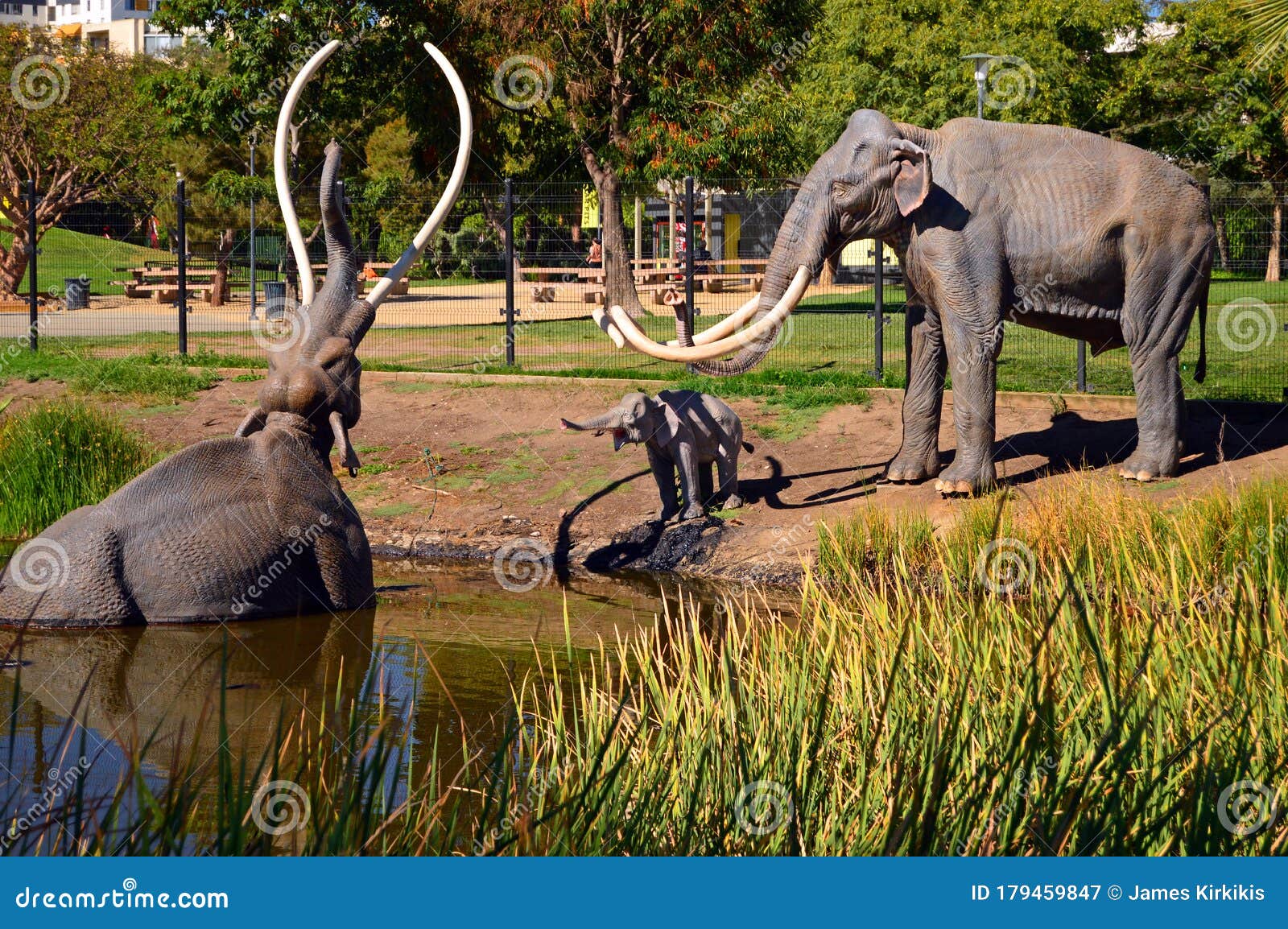 La Brea Tar Pits editorial photography. Image of recreated - 179459847