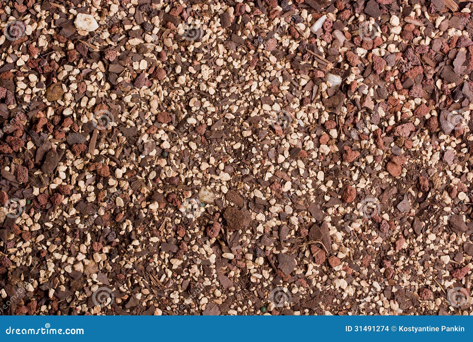 Depleted soil stock photo. Image of environmental, pattern - 31491274