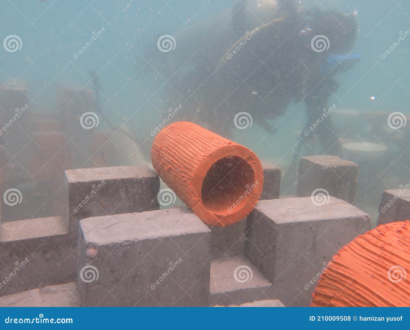 Deployed Artificial Reef at Redang Island Stock Photo - Image of wild ...