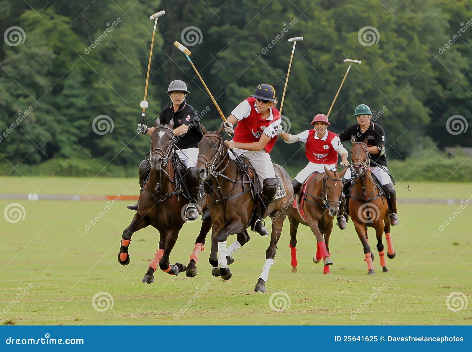 Deportes del polo imagen editorial. Imagen de argentina - 25641625