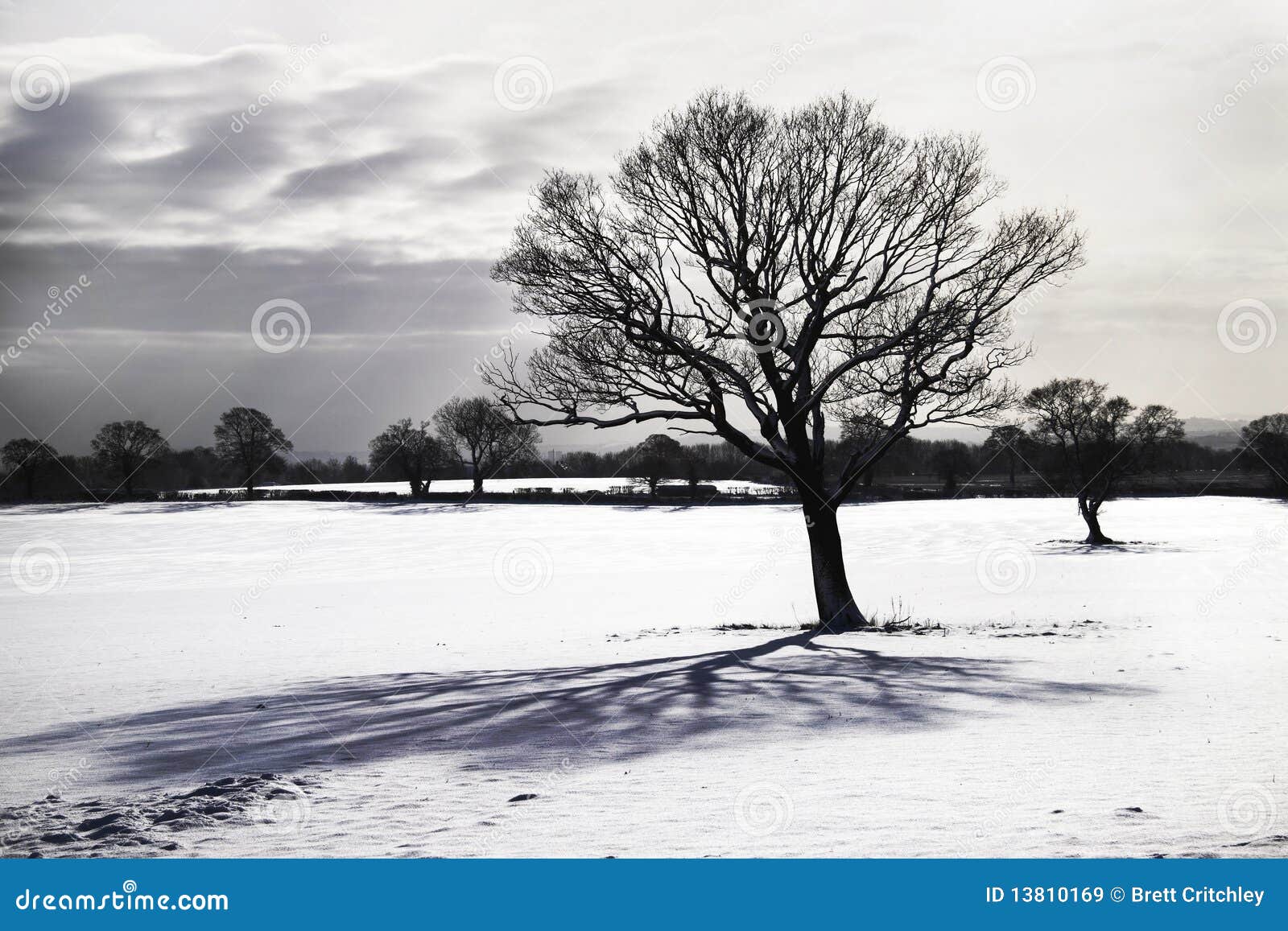 Depressed tree depression stock image. Image of midwinter - 13810169