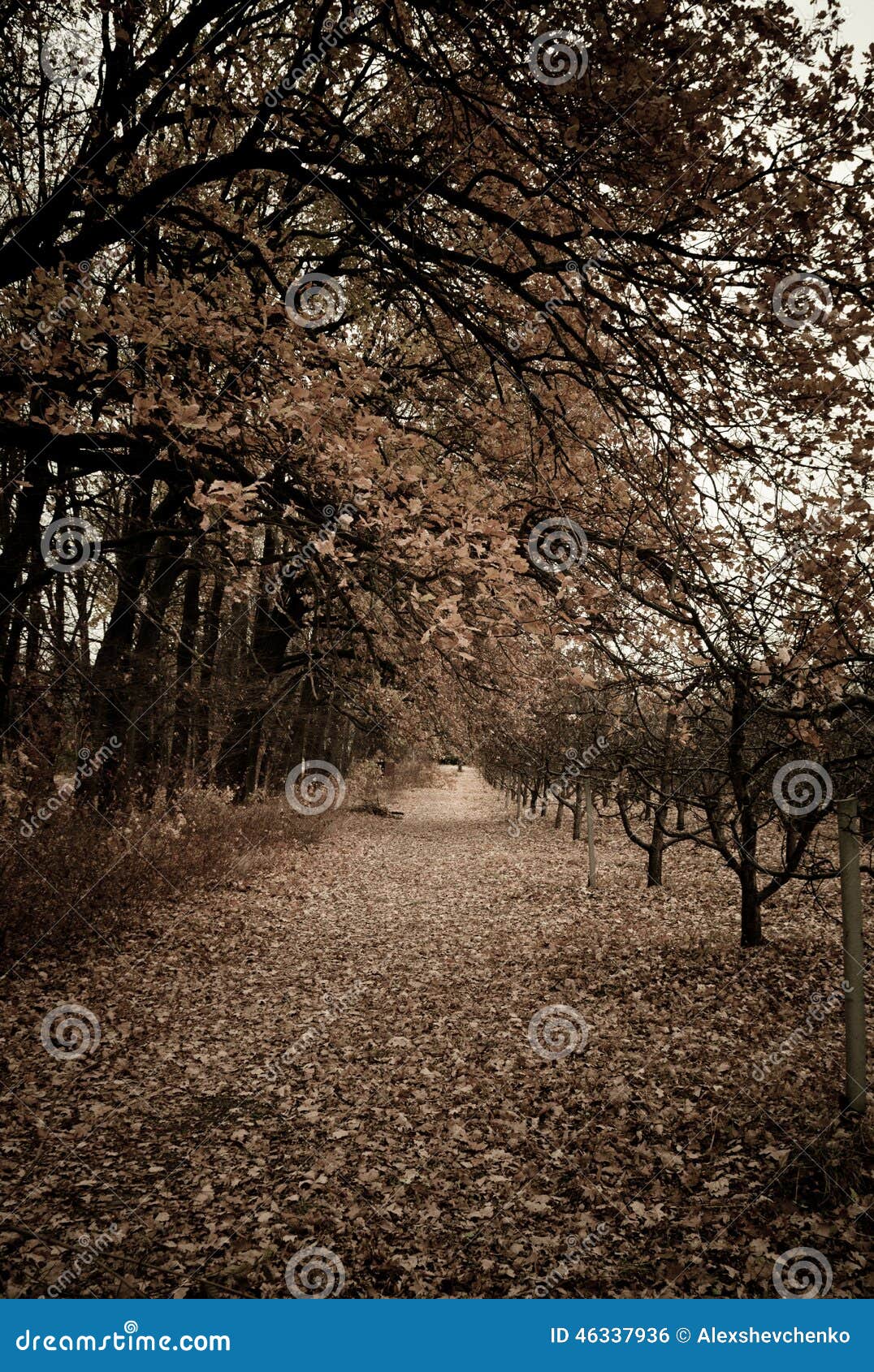 Depressed view stock photo. Image of dark, fade, late - 46337936