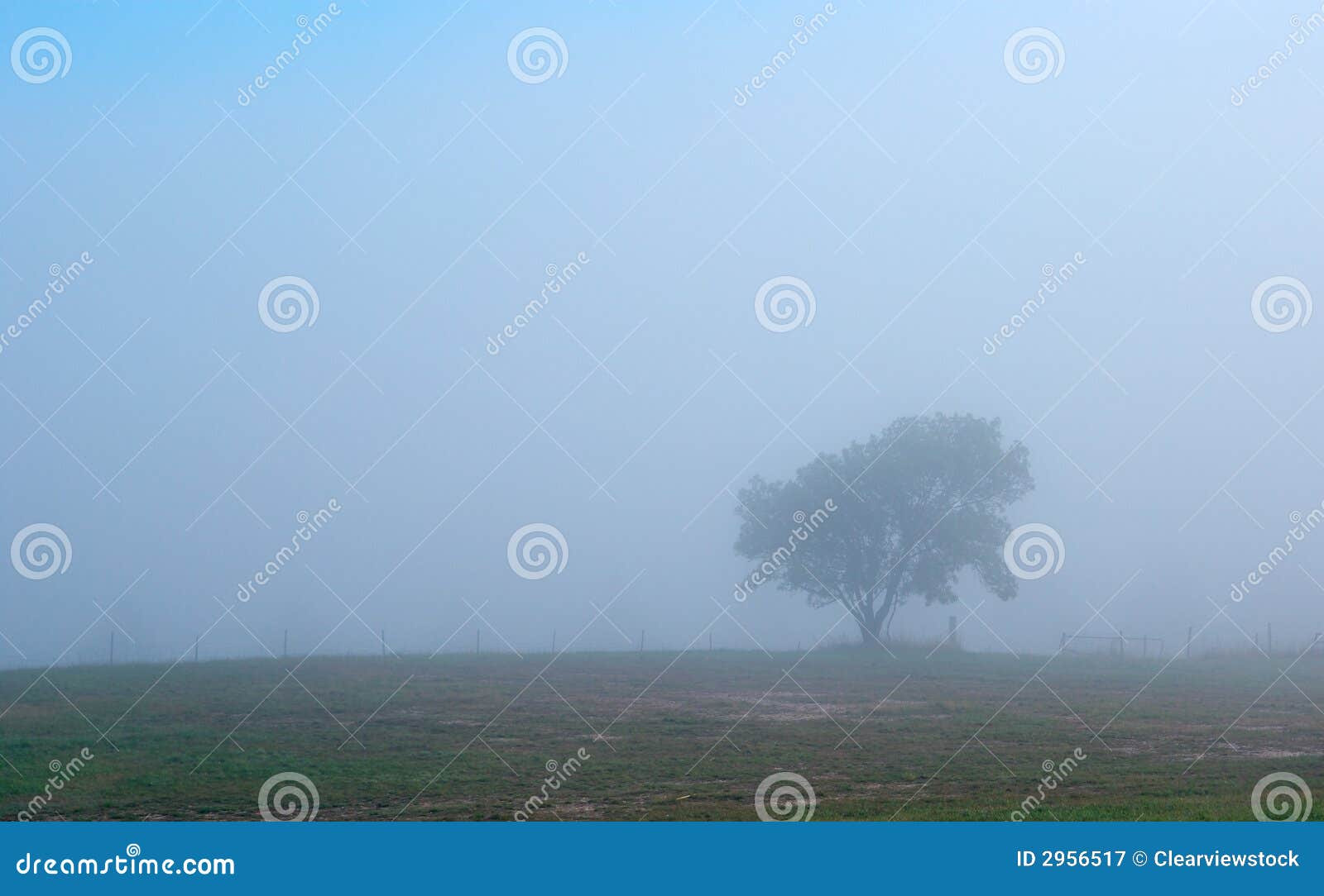 Depression Lonely Tree in Fog Stock Image - Image of landscape, rural ...