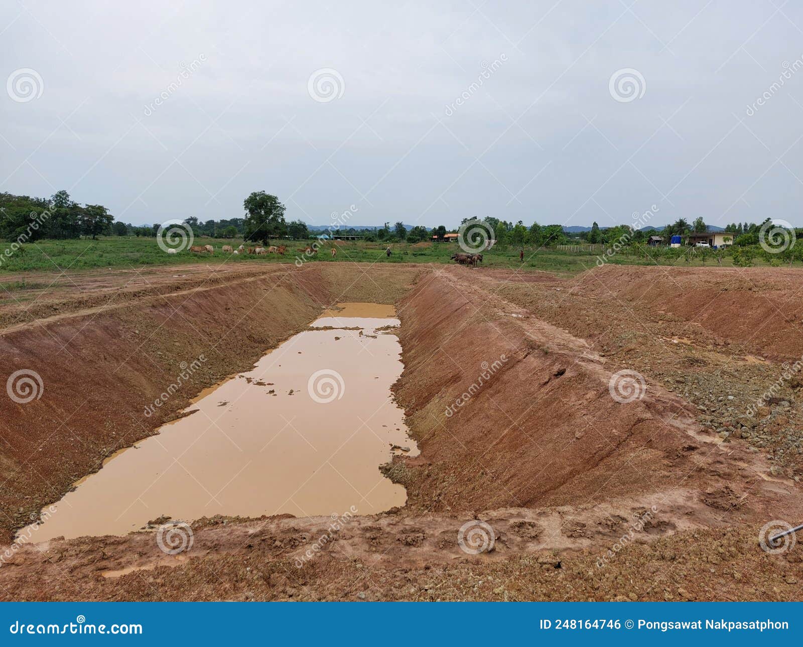 Depression pond dig a wall stock photo. Image of wall - 248164746