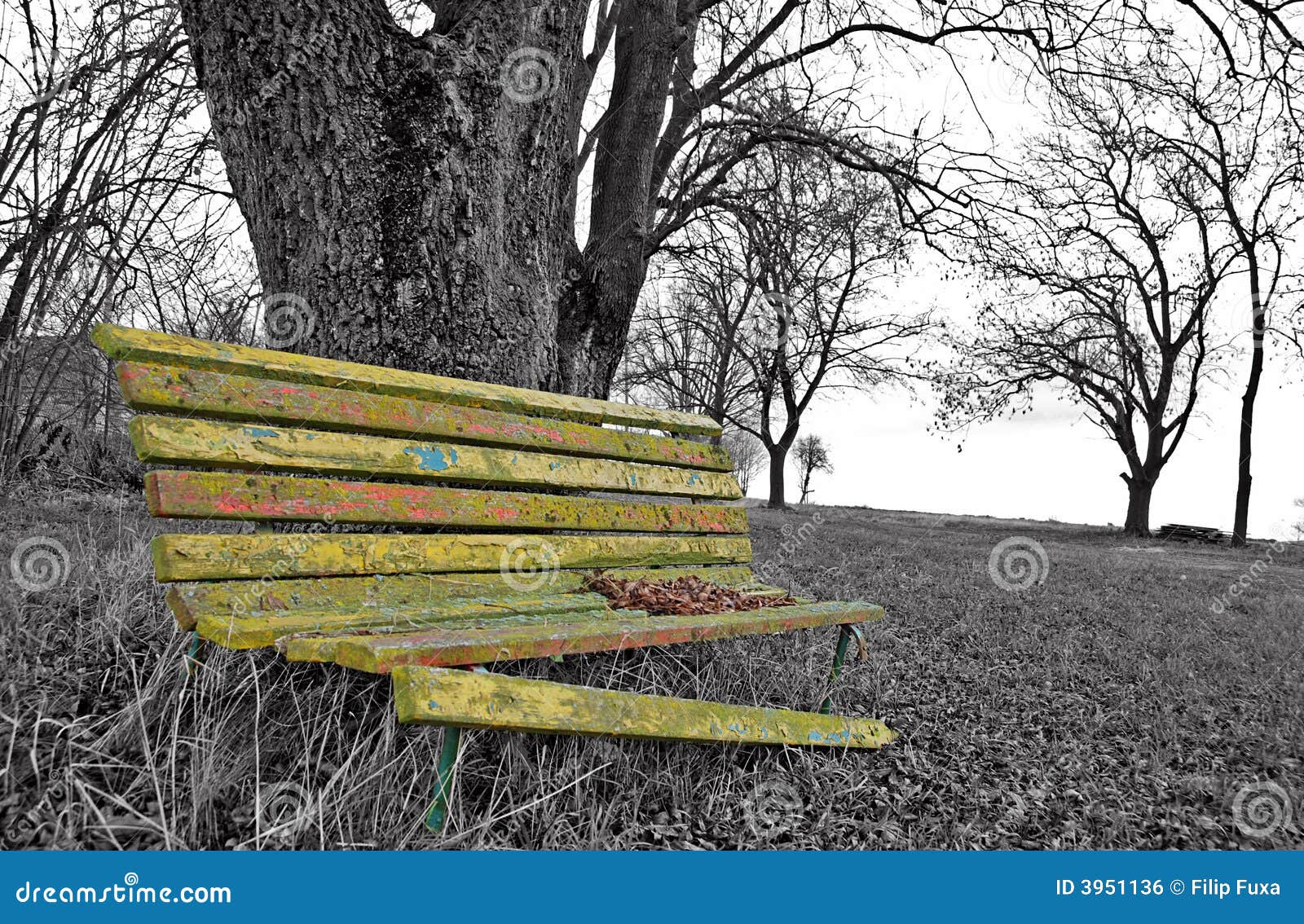 433 Depressive Colors Stock Photos - Free & Royalty-Free Stock Photos ...