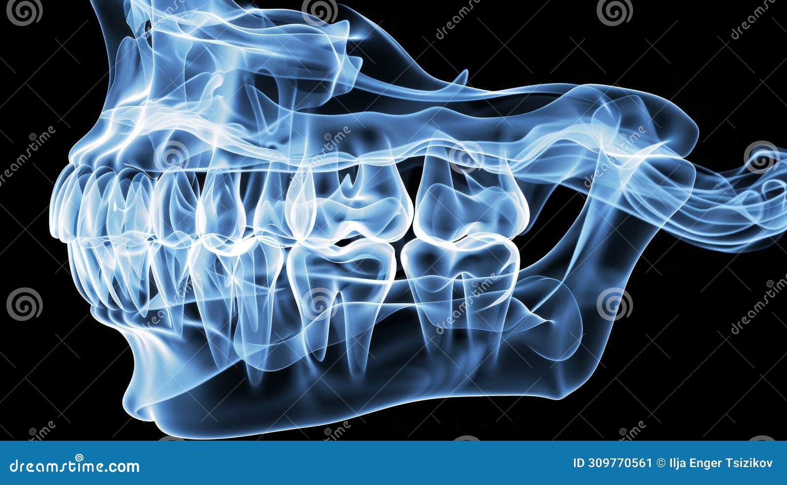 In Depth Human Tooth Structure and Dental Radiography on Dentistry ...
