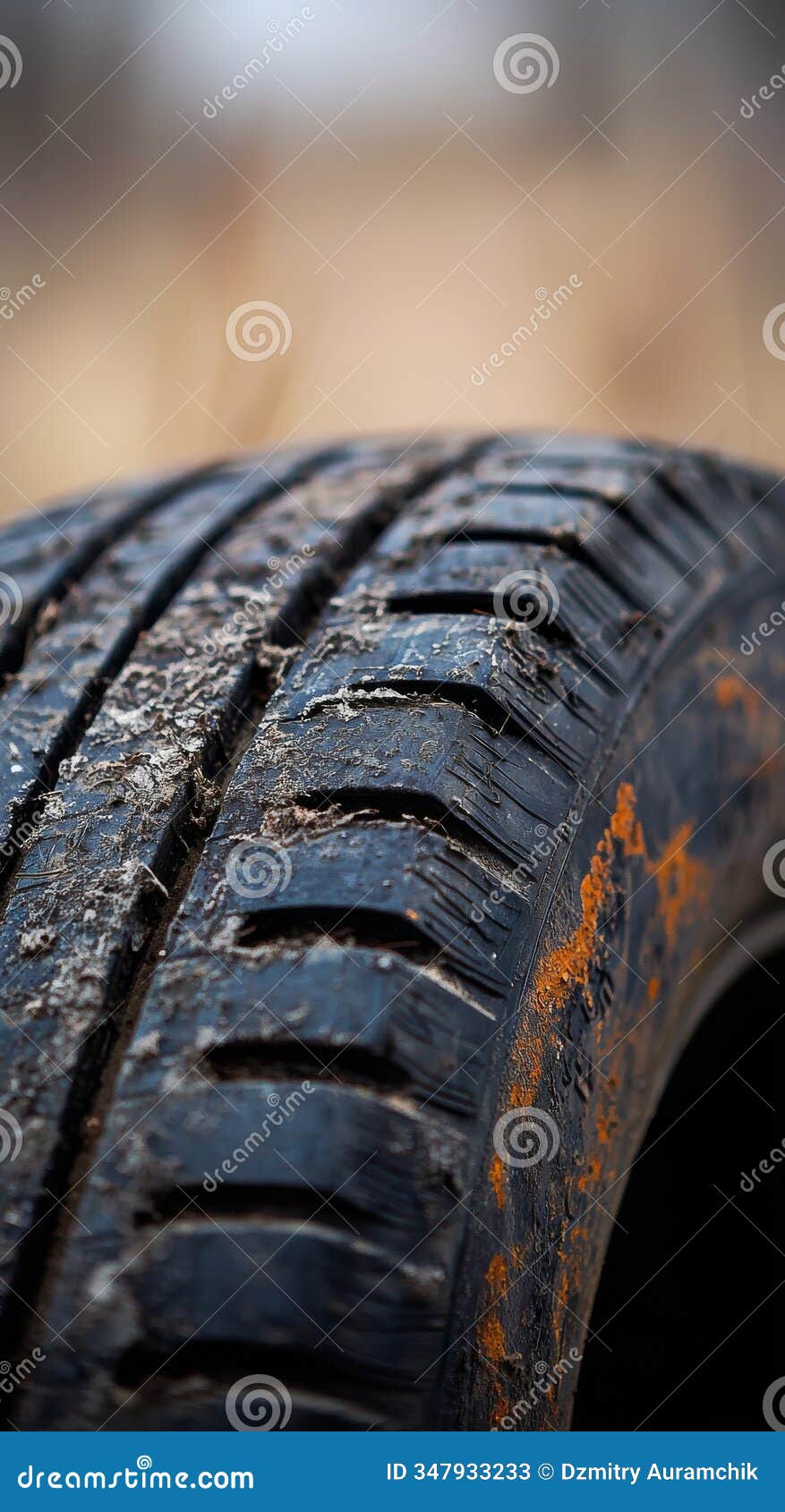 In-Depth Look at Tire Tread for Car Industry Specialists Stock Image ...