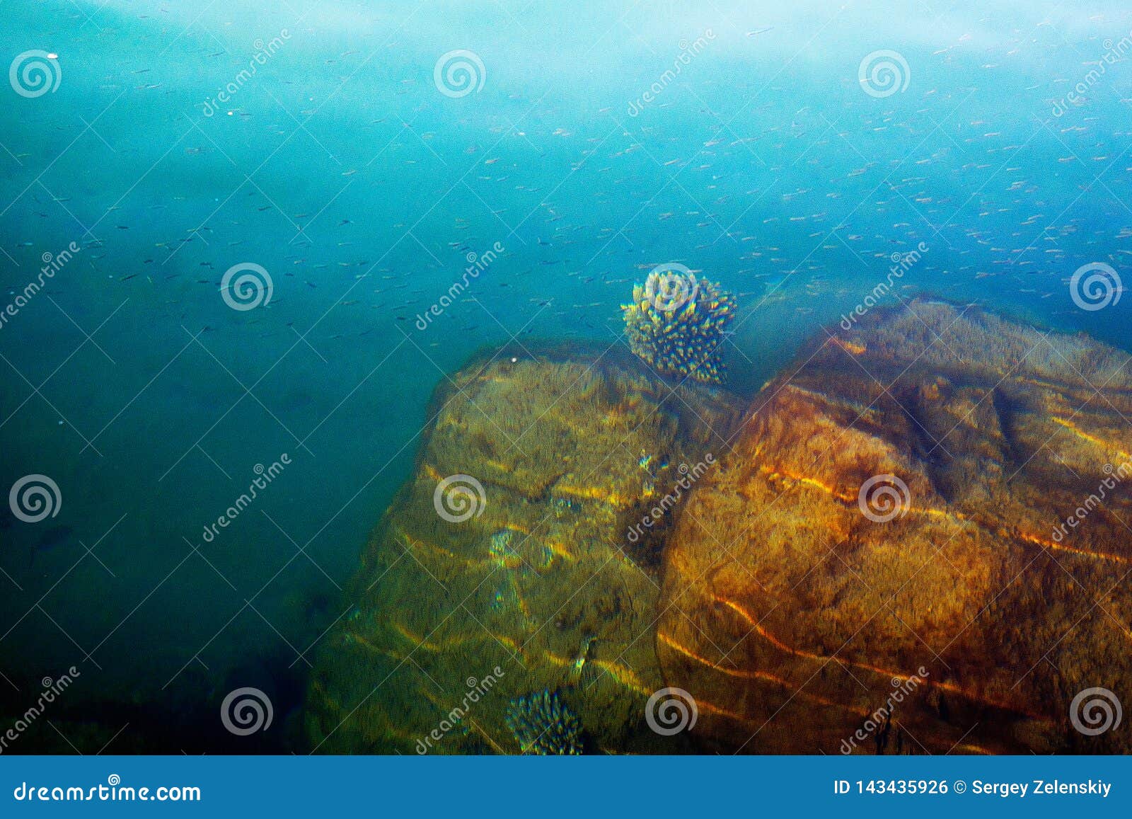 In Depth of the Red Sea Waters Stock Photo - Image of morning, saling ...