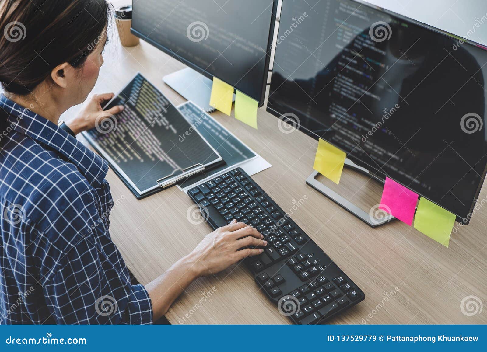 Der Berufsprogrammierer, Der an Sich Entwickelnden Programmierung ...