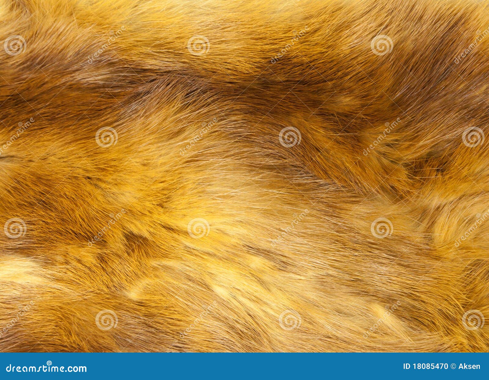 Der Fuchspelz stockfoto. Bild von pelz, wollen, tier - 18085470