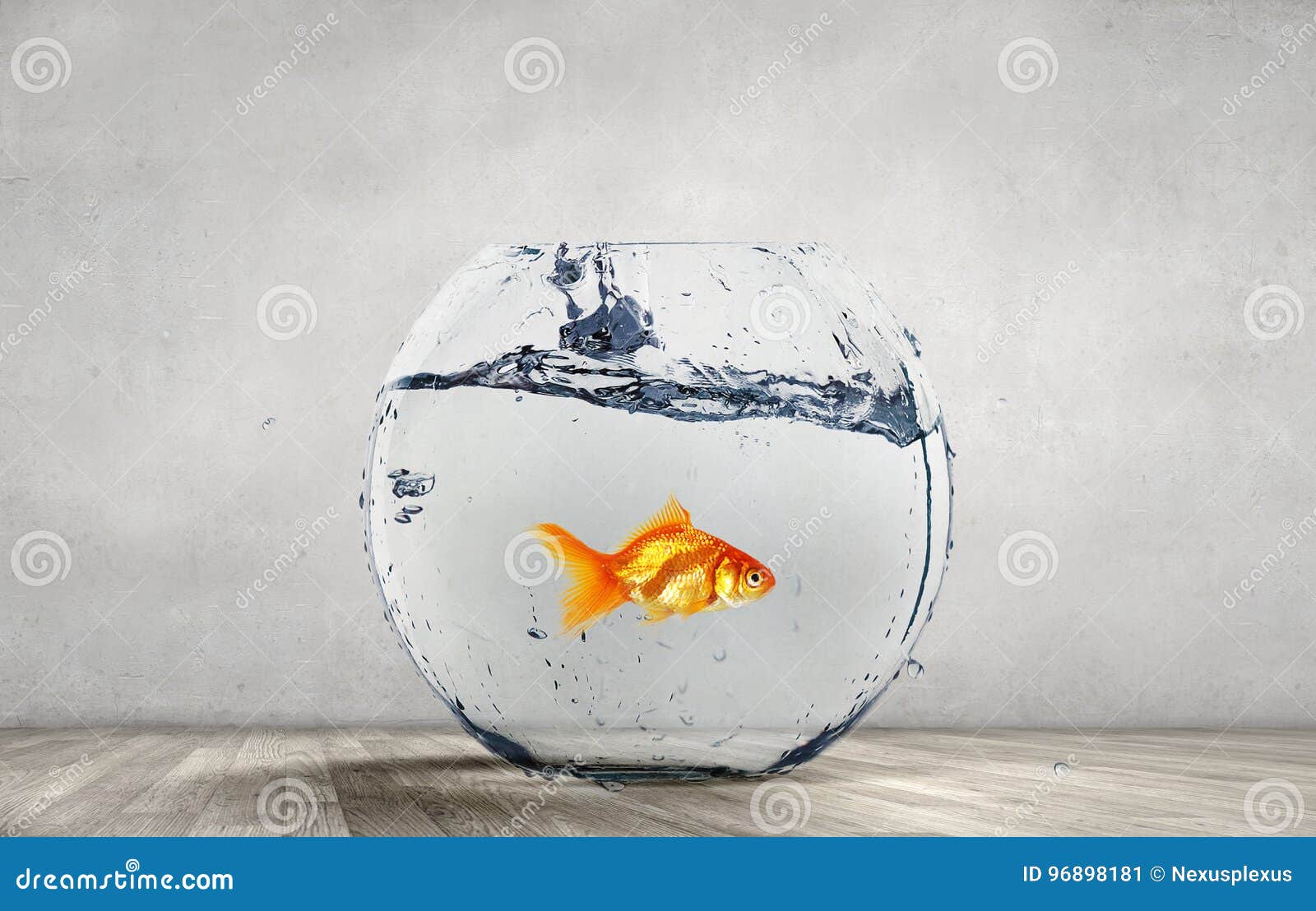 Der Goldfisch Springend Vom Aquarium Stockbild - Bild von welle ...